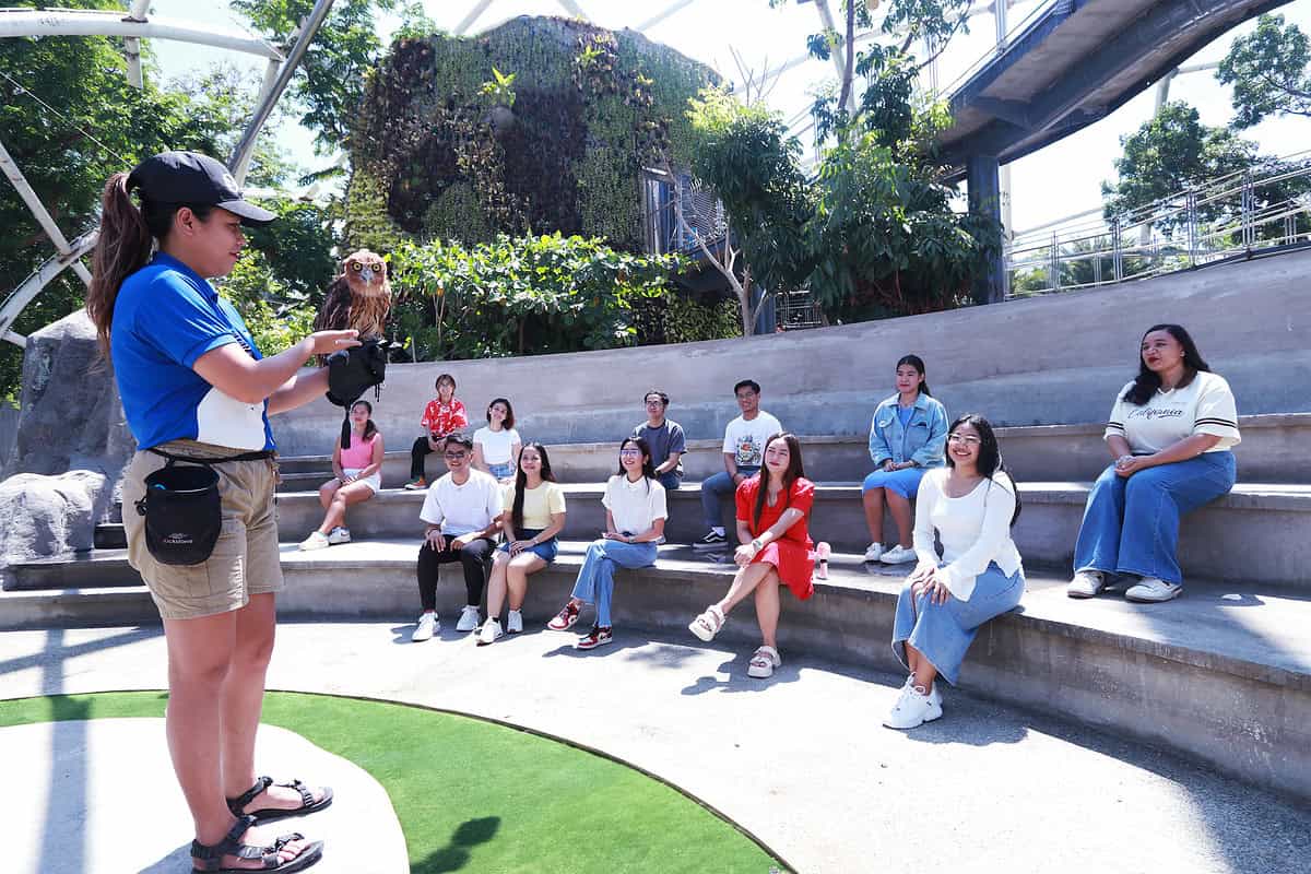 Amphitheatre | Manila Ocean Park