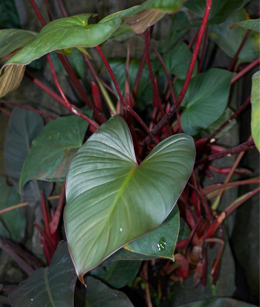 Beyond the Dome | Manila Ocean Park